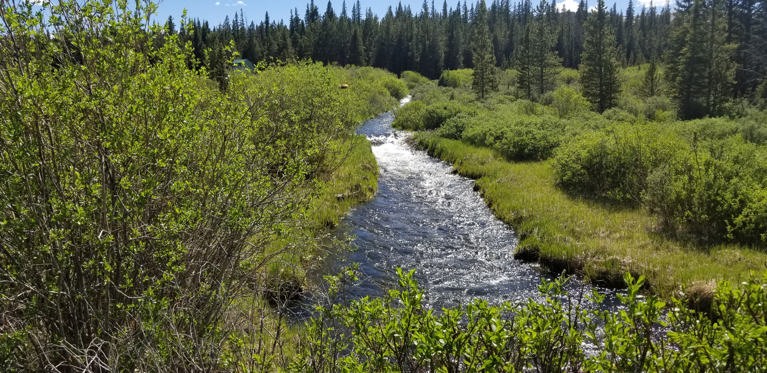 Division 1 Forms and Costs – HASP – Headwater Authority of the South Platte